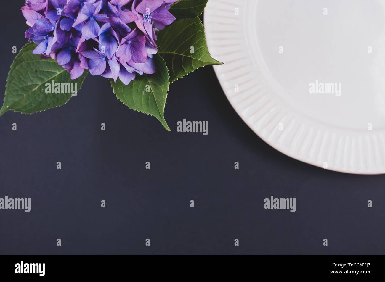 Top view of hydrangeas in a vase with a paper plate on a black surface ...