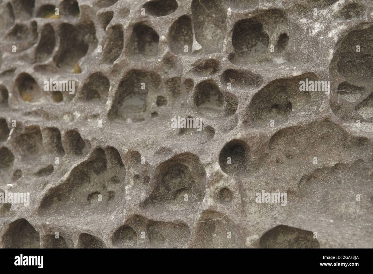 Porous stone texture background Stock Photo - Alamy