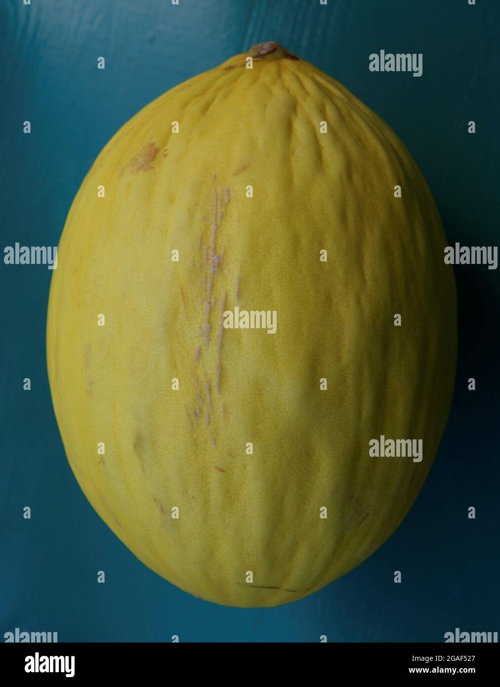 Melon jaune hi-res stock photography and images - Alamy
