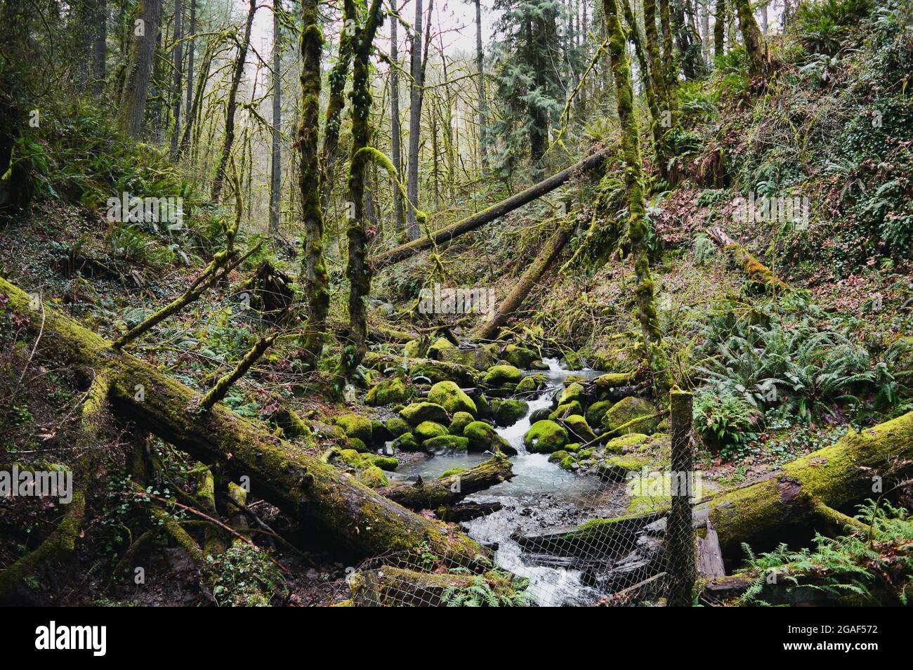 Portland creek hi-res stock photography and images - Alamy