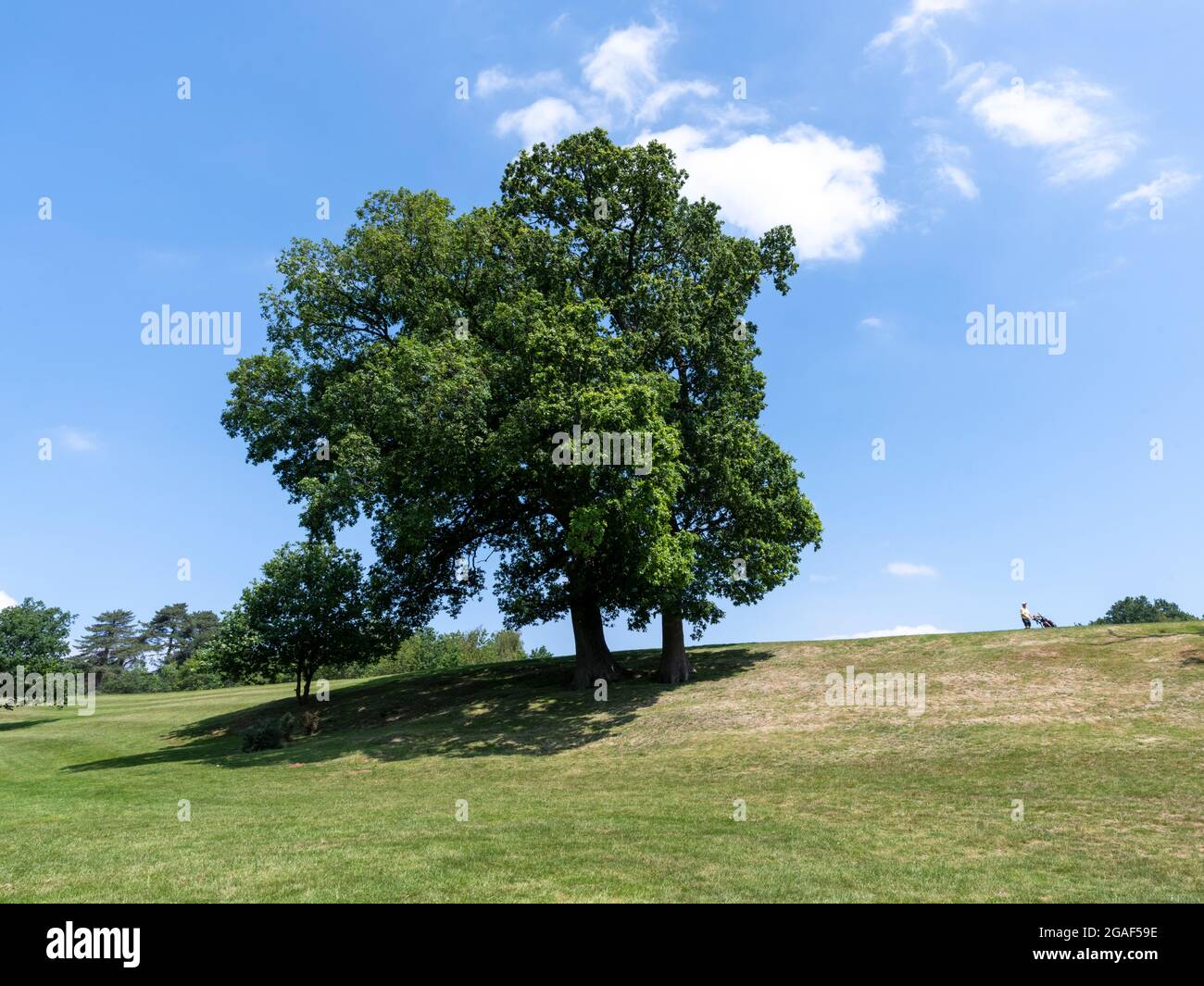Liss uk hi-res stock photography and images - Alamy