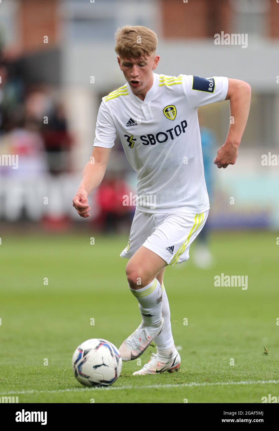 Stuart fleetwood hi-res stock photography and images - Alamy