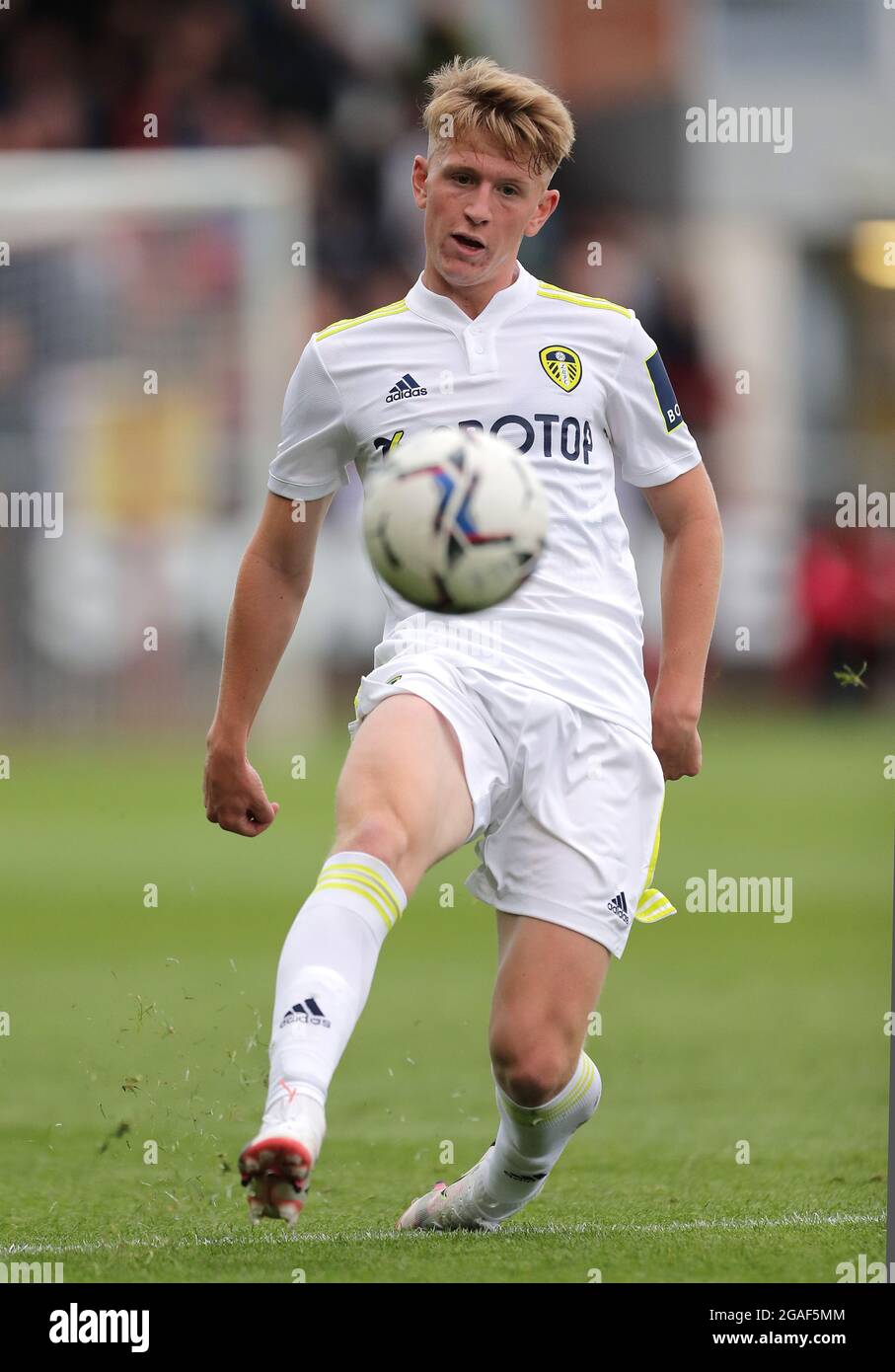 Stuart mckinstry hi-res stock photography and images - Alamy