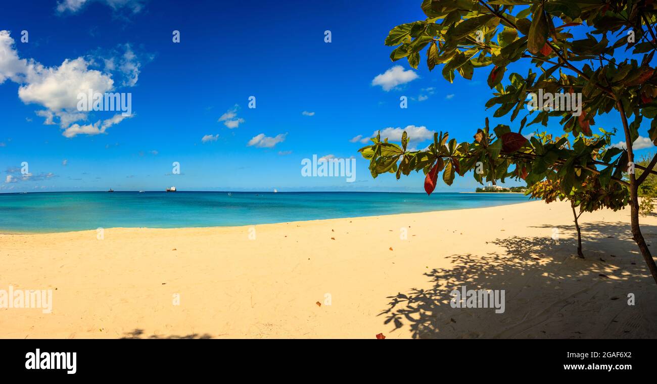 Beautiful shot of the sand and clear blue water of Barbados Island ...