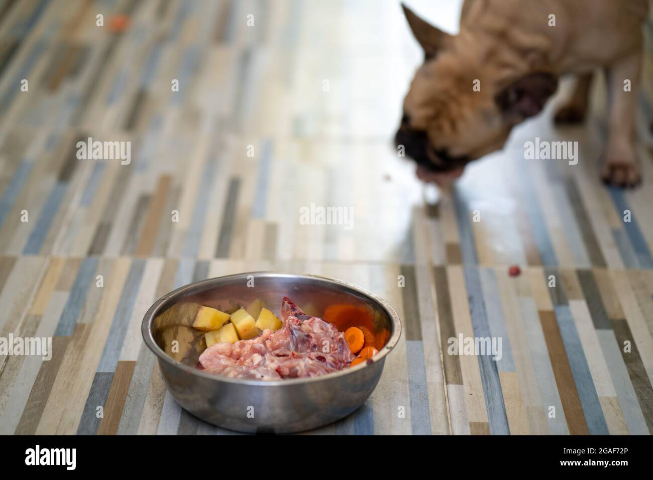 Dog eating bowl meat hi-res stock photography and images - Alamy
