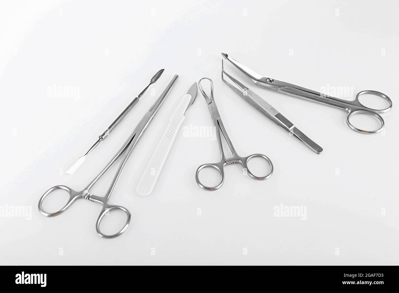 Spiked staff hi-res stock photography and images - Alamy