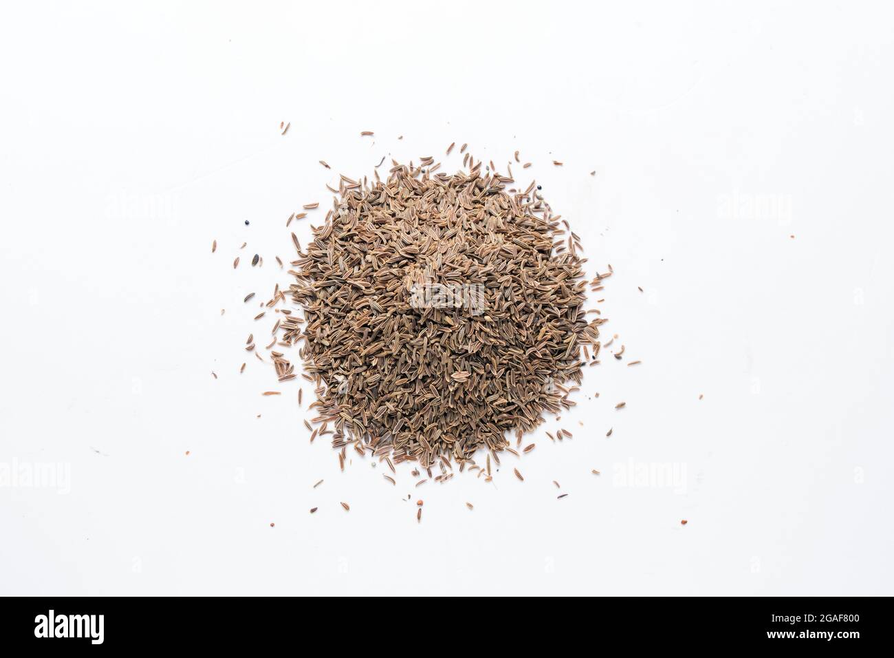 Cuminum cyminum hi-res stock photography and images - Alamy