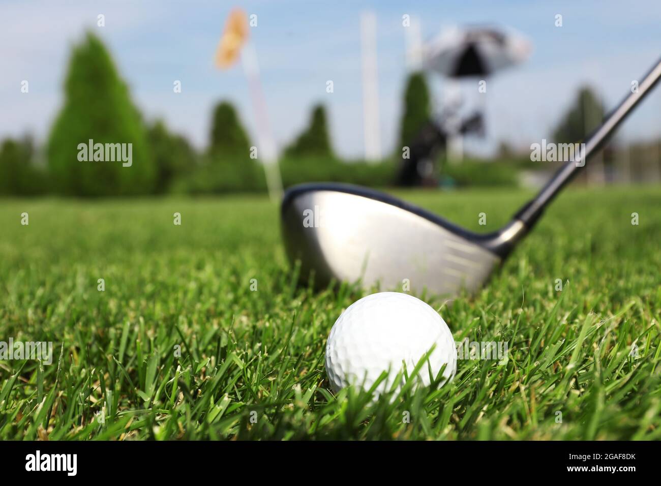 Golf club and ball on a green grass Stock Photo - Alamy