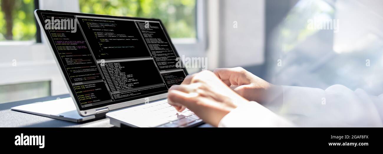 Programmer Woman Coding. Girl Coder And Web Developer Stock Photo - Alamy