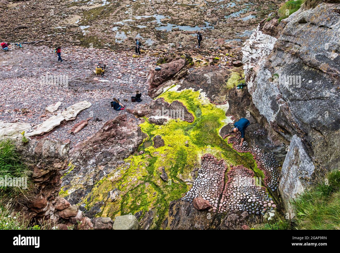 Land artist Mark Haden Ford creates rock art on the beach at low tide ...