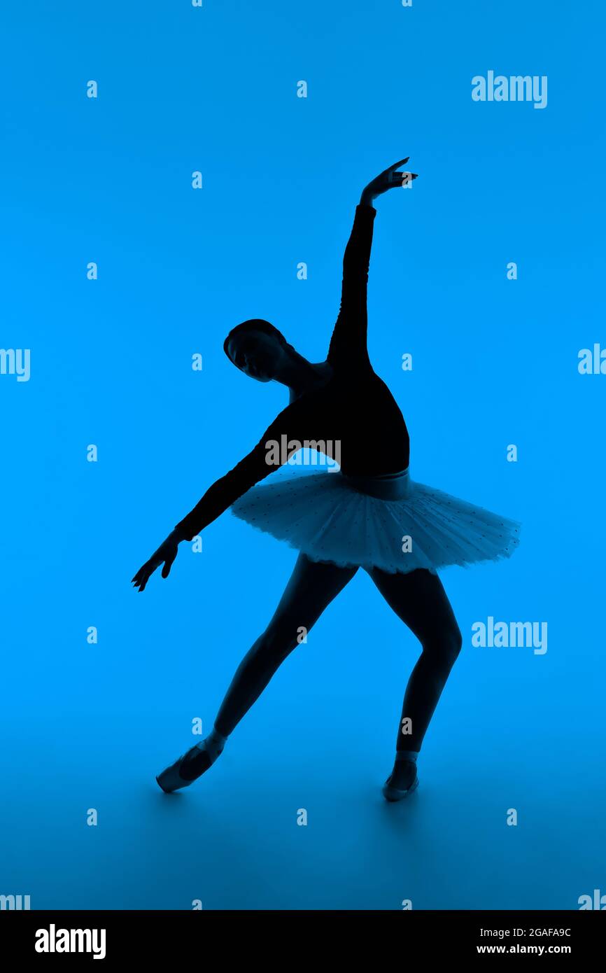 Dance Turn Silhouette