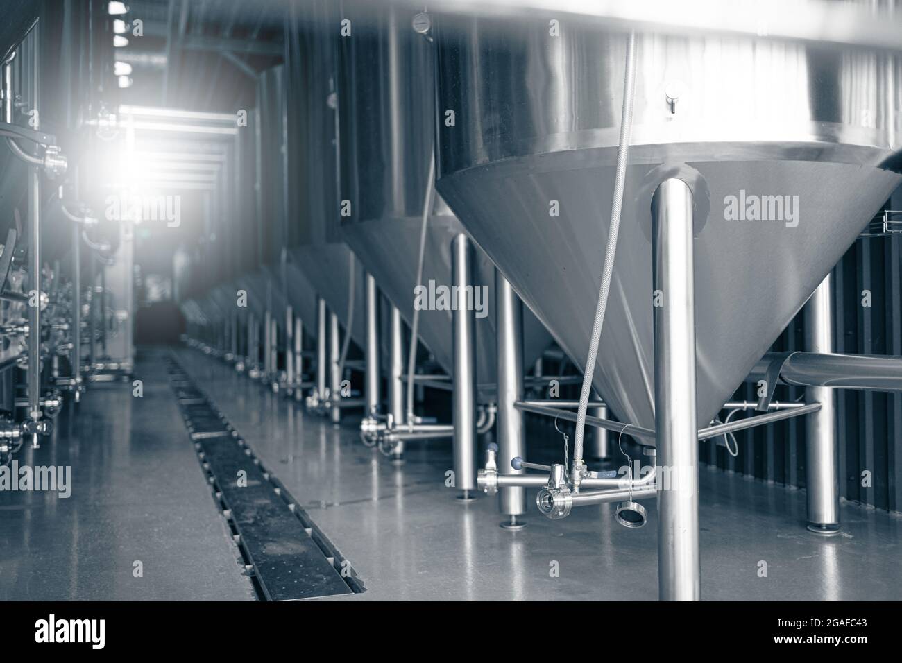 Industrial interior of modern craft brewery with chrome cylindrical ...