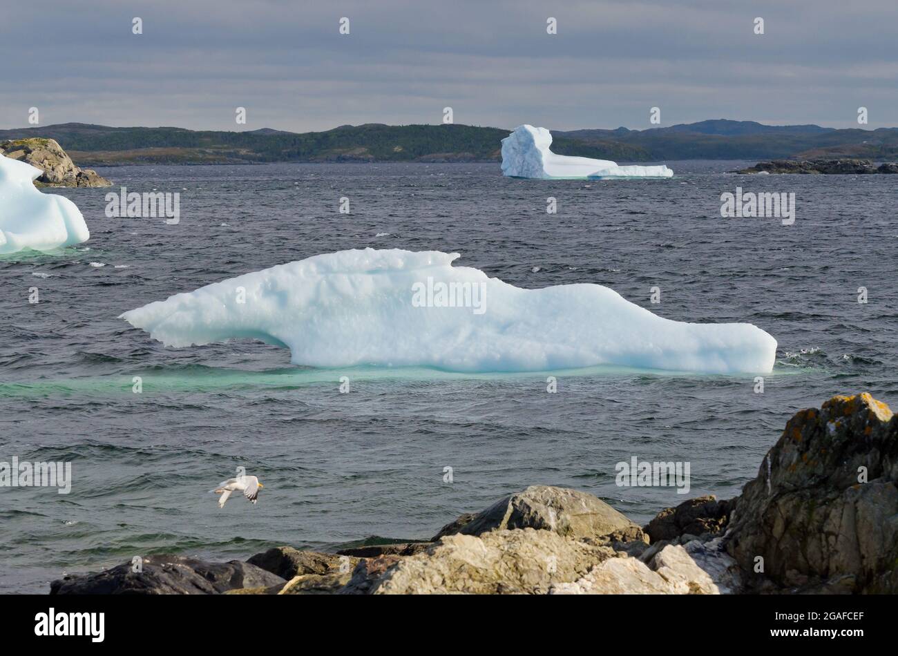 Bright white iceberg on dark water and rock background Stock Photo - Alamy