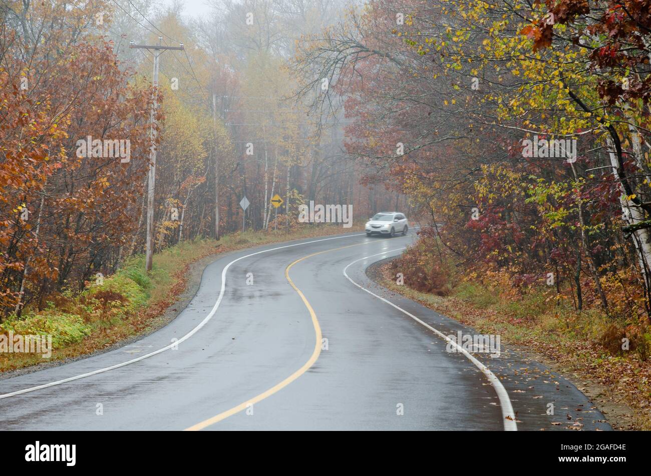 Fog above forest road in fall time, Quebec, Canada Stock Photo - Alamy