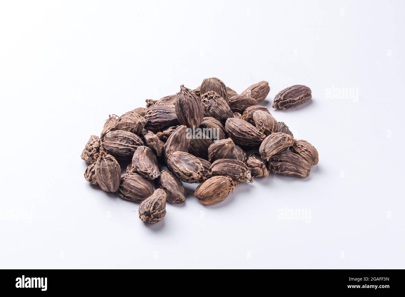Masala velchi (Elettaria cardamomum) against white background Stock ...