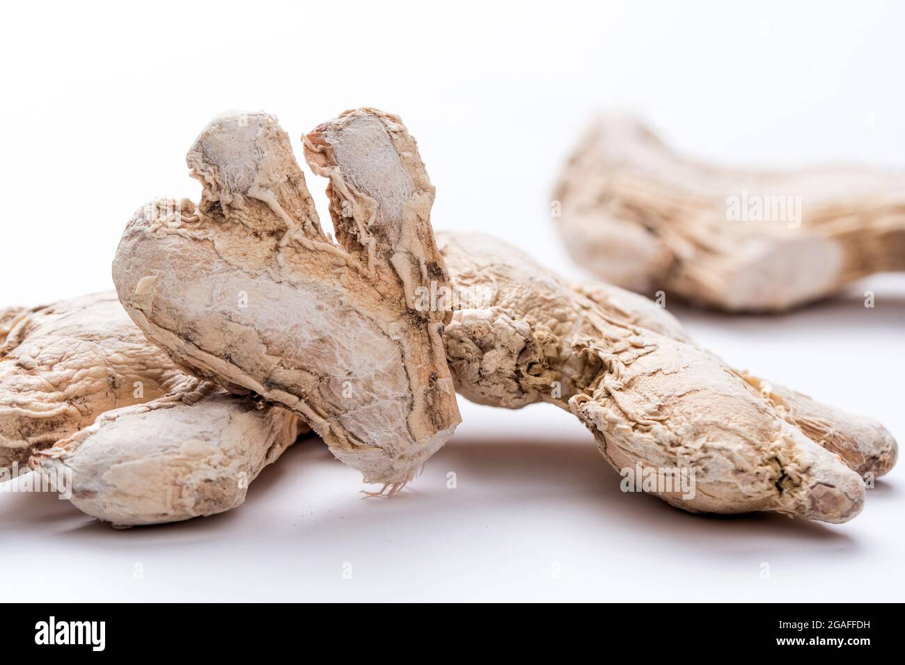 Suntha, Zingiber officinale, Ginger against white background Stock ...