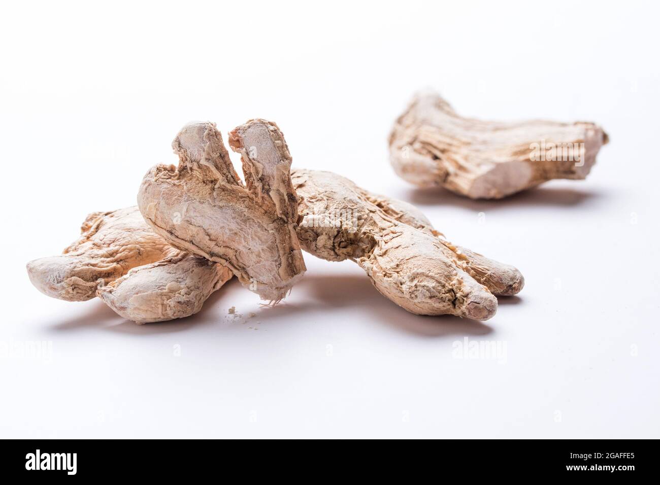 Closeup of Suntha, Zingiber officinale, Ginger against white background ...