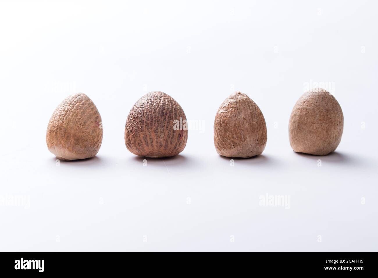 4 Supari (Areca catechu) against white background Stock Photo - Alamy