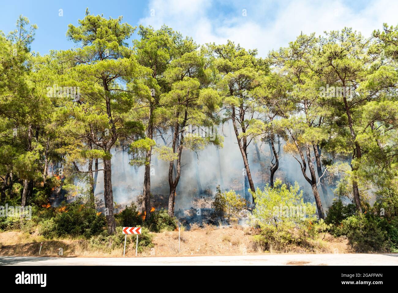 Marmaris, Mugla, Turkey – July 29, 2021. Forest fire near Marmaris ...