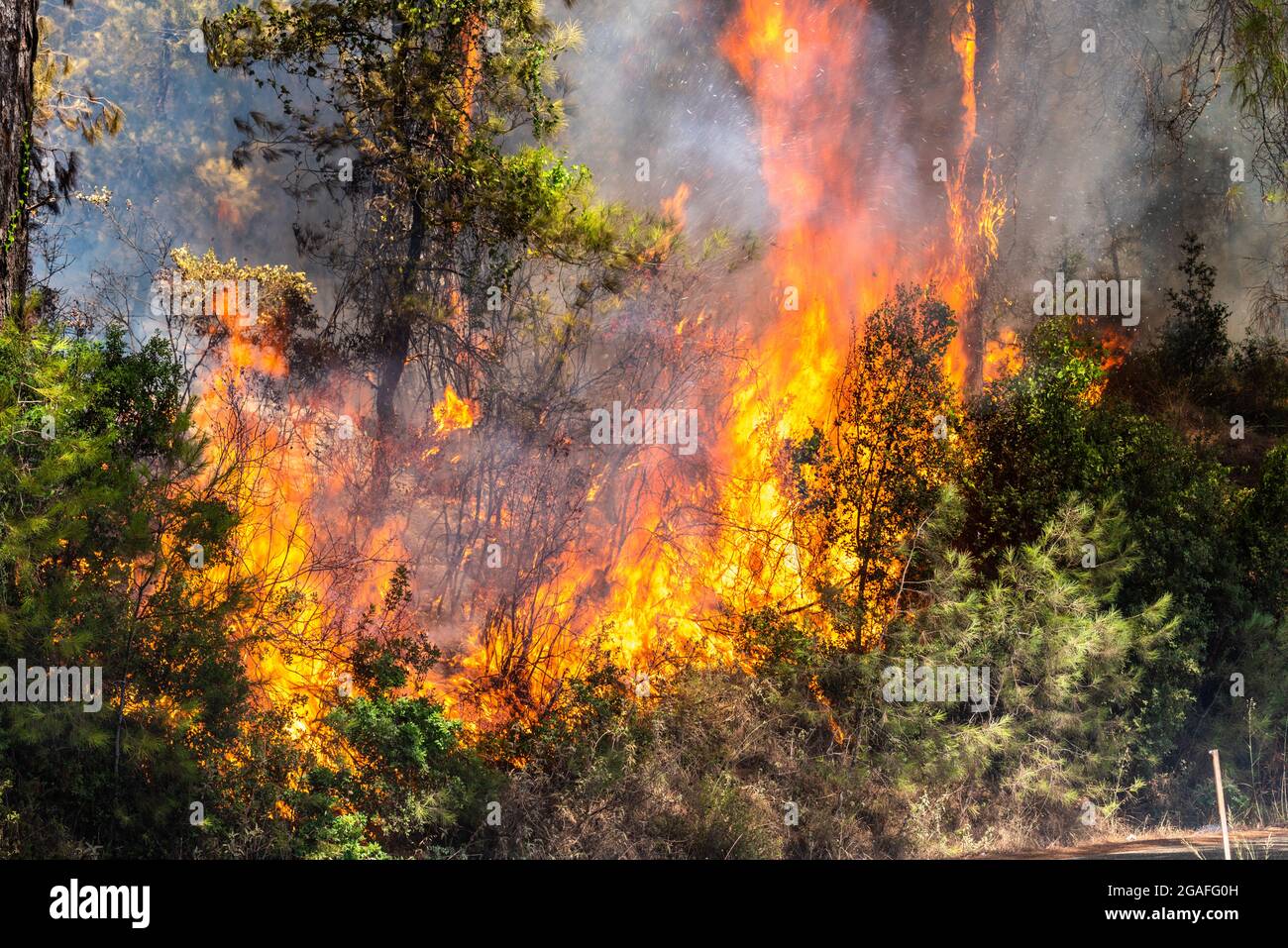 Marmaris, Mugla, Turkey – July 30, 2021. Flames of forest fire near ...