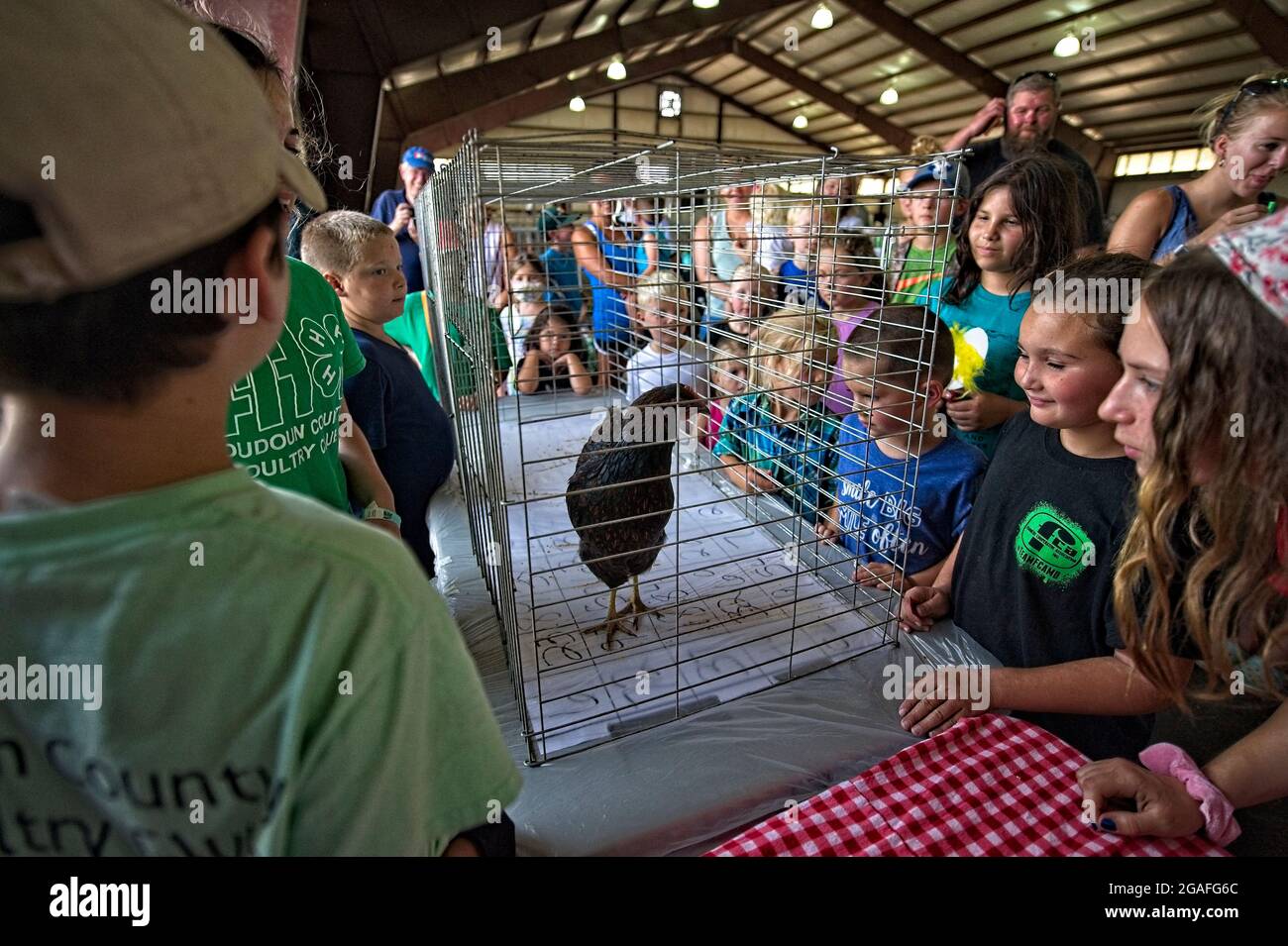 UNITED STATES - July 30, 2021: People wait for the poop to fall on a ...