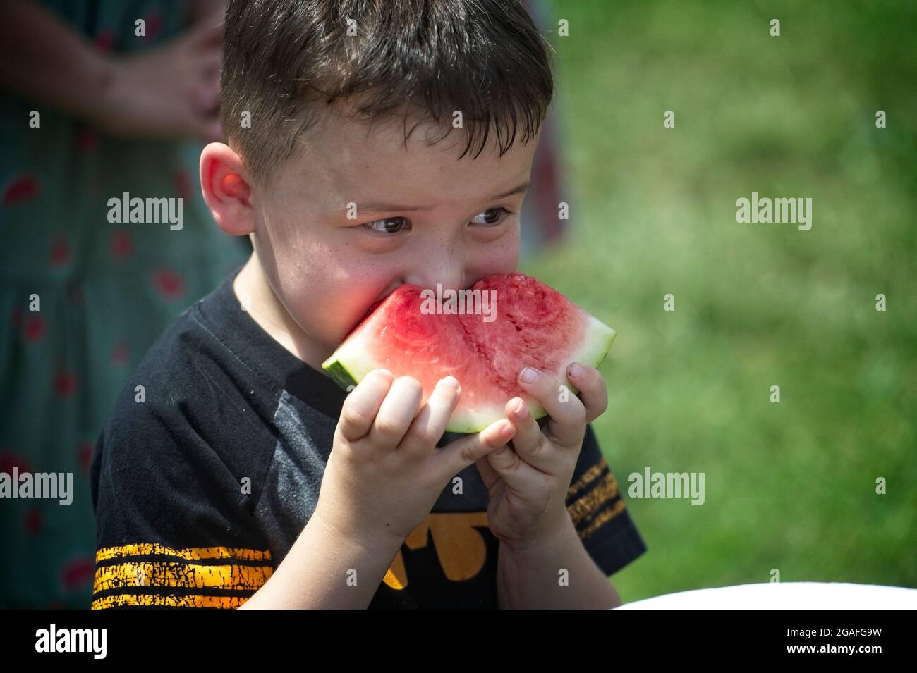 UNITED STATES - July 30, 2021: Working hard at the water melon eating ...