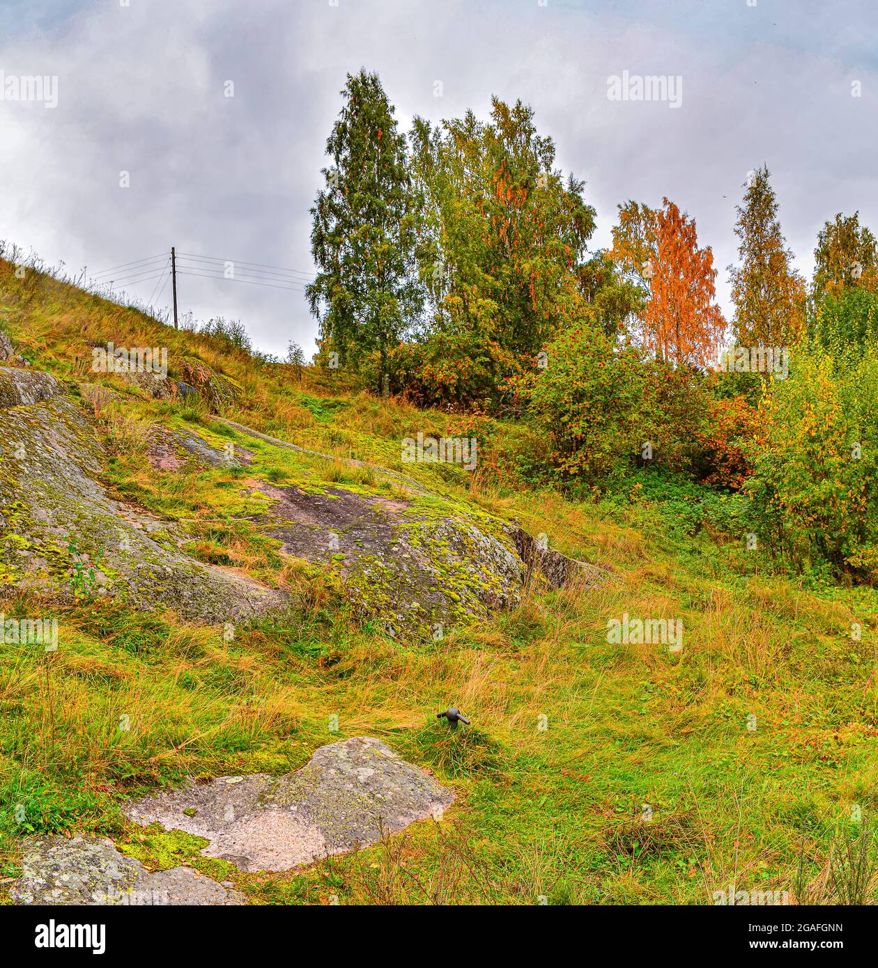 Vyborg District High Resolution Stock Photography and Images - Alamy