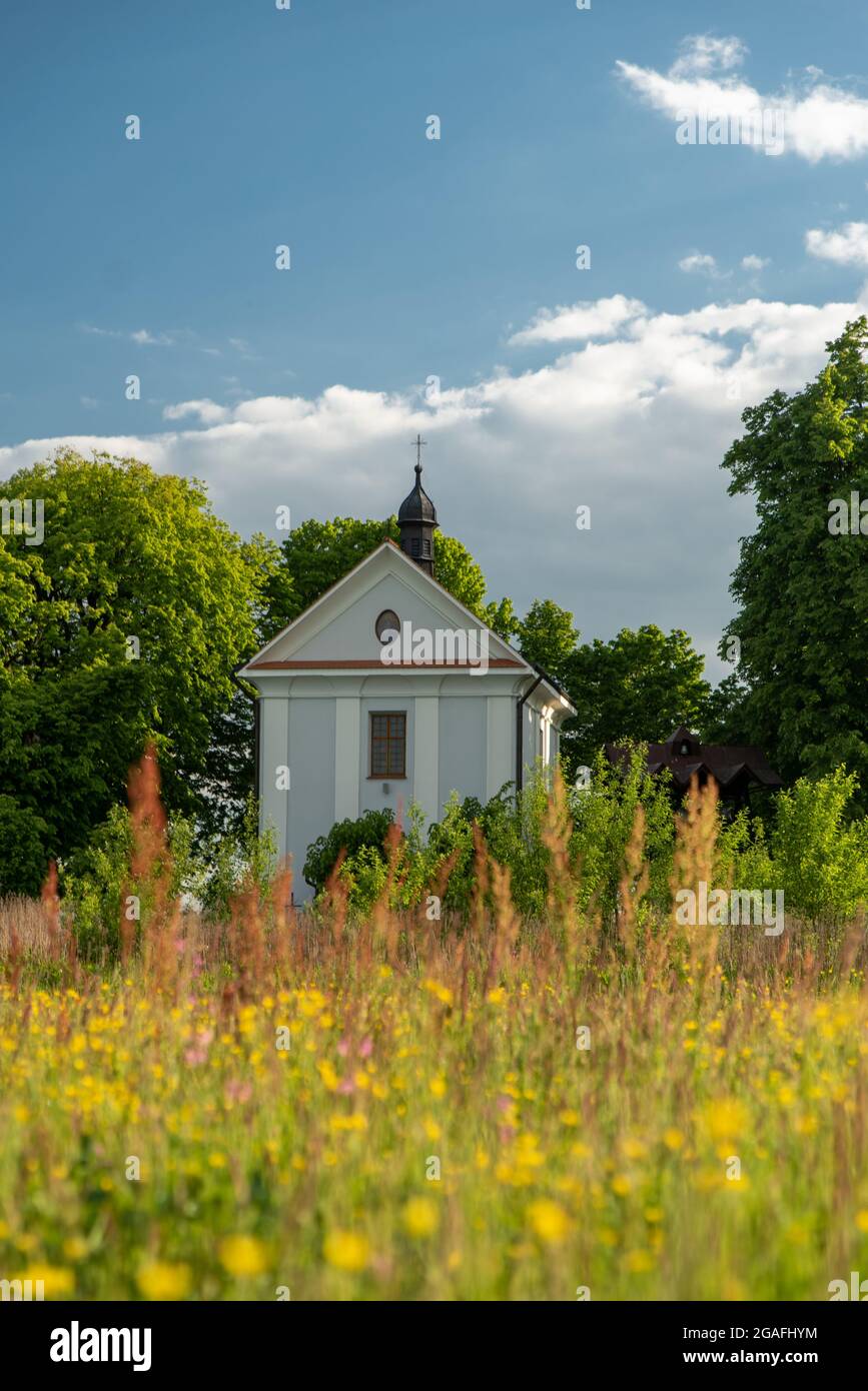 Small temple hidden between trees Stock Photo - Alamy