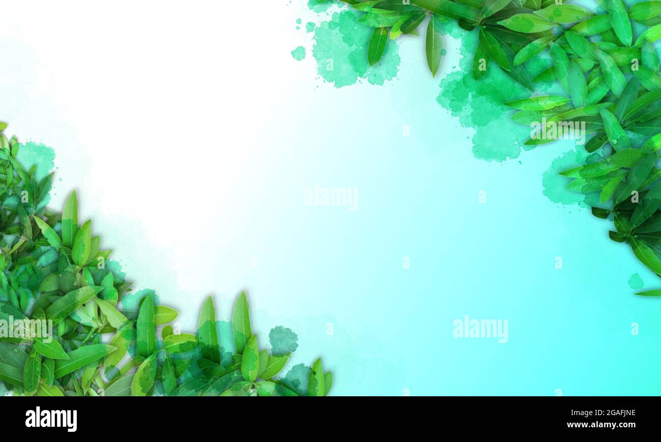 Watercolour wallpaper in the shape of plants and blue gradient Stock ...