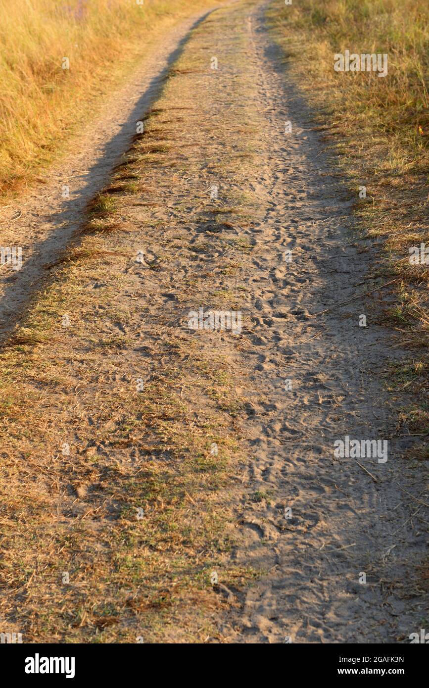 Sandy road on the field, close up Stock Photo - Alamy