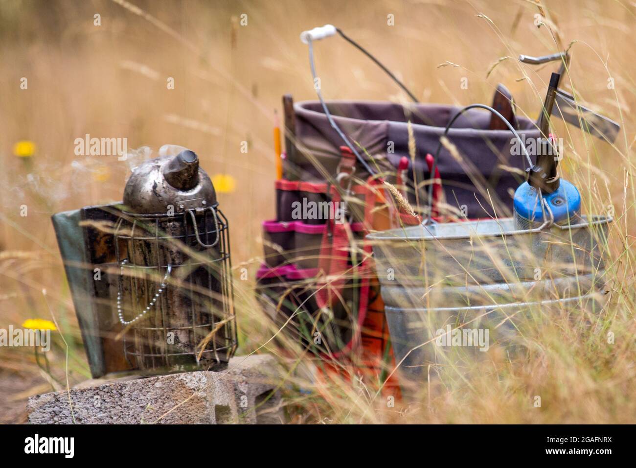 Small beekeeping farm in Mendocino, California Stock Photo - Alamy