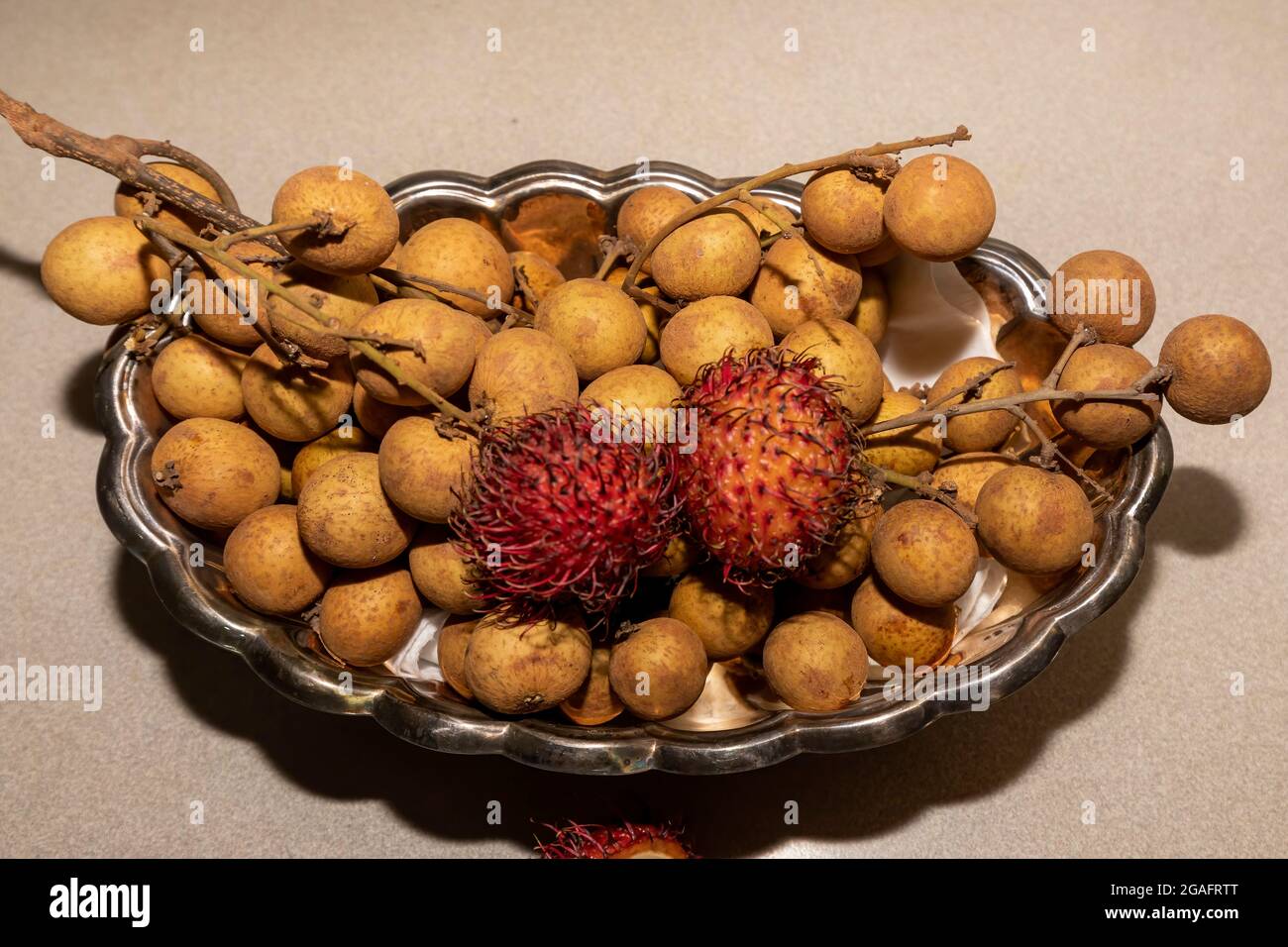 Exotic fruits Chom Chom (Rambutan) and Dimocarpus longan, commonly ...