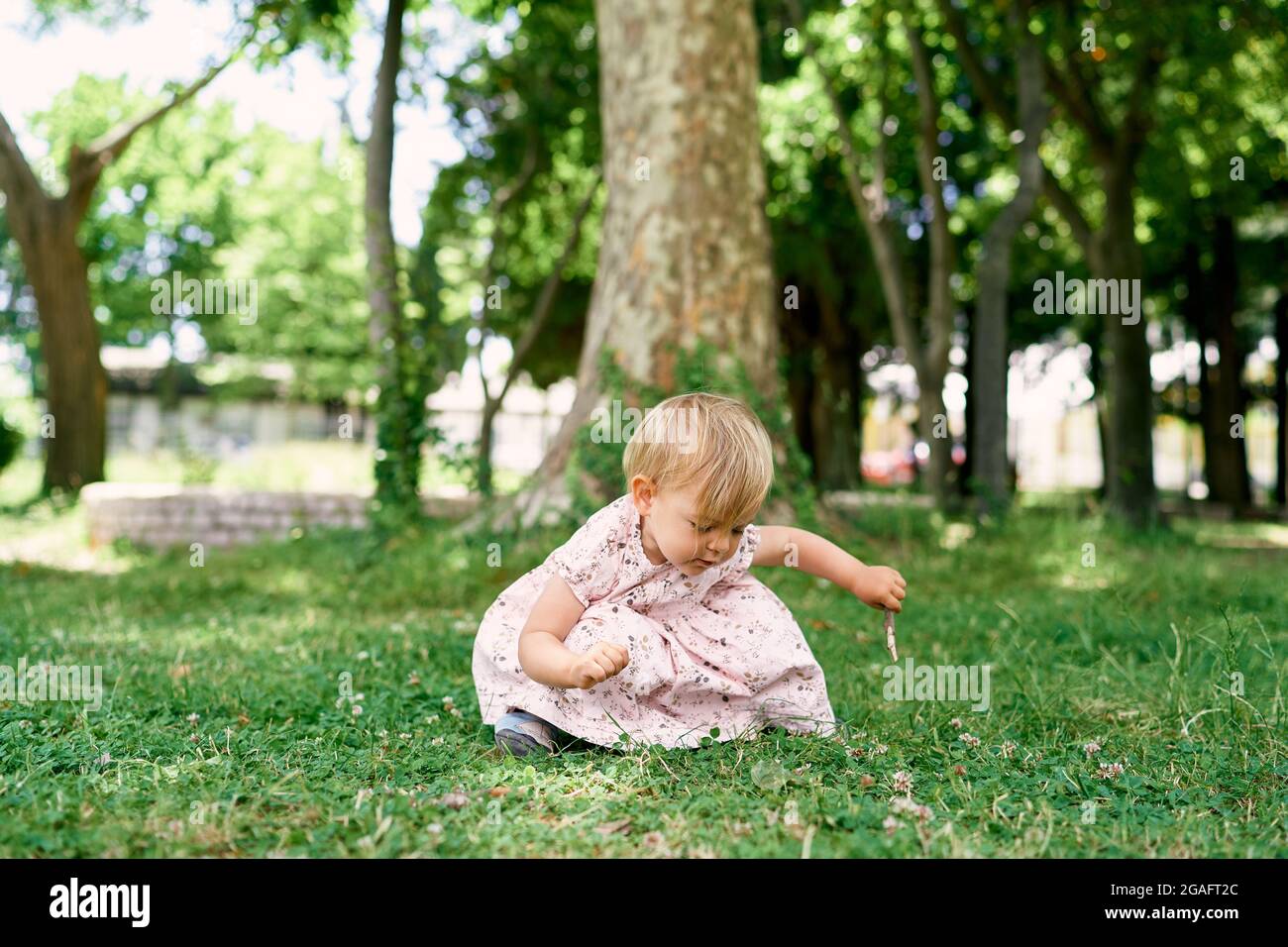 Little girl sits on the green grass near the plane tree trunk, entwined ...