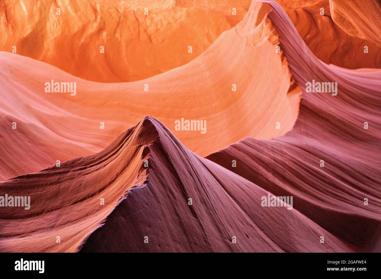 Stunning color of the sandstone inside Lower Antelope Canyon, Arizona ...