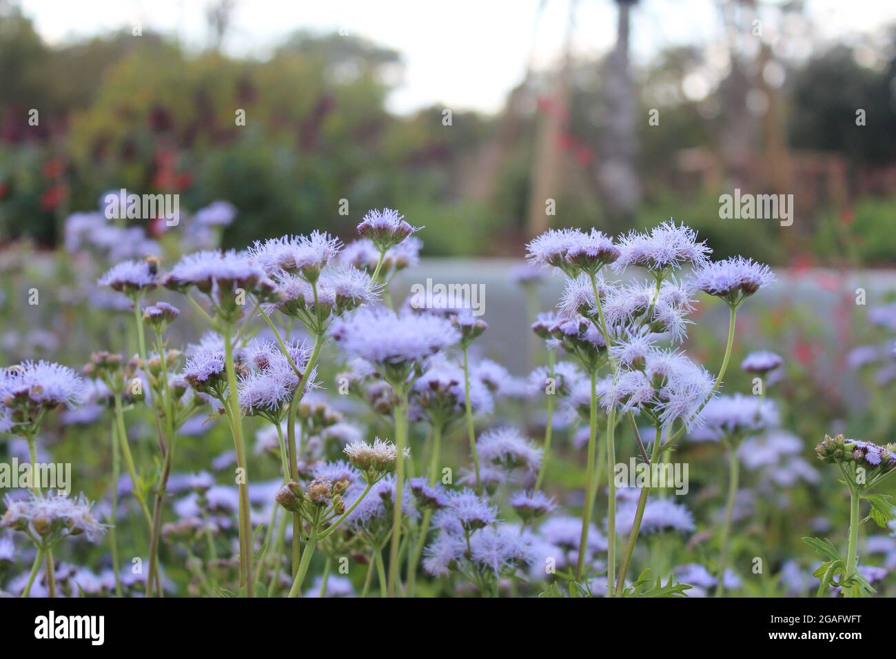 Eco friendly photoshoot hi-res stock photography and images - Alamy