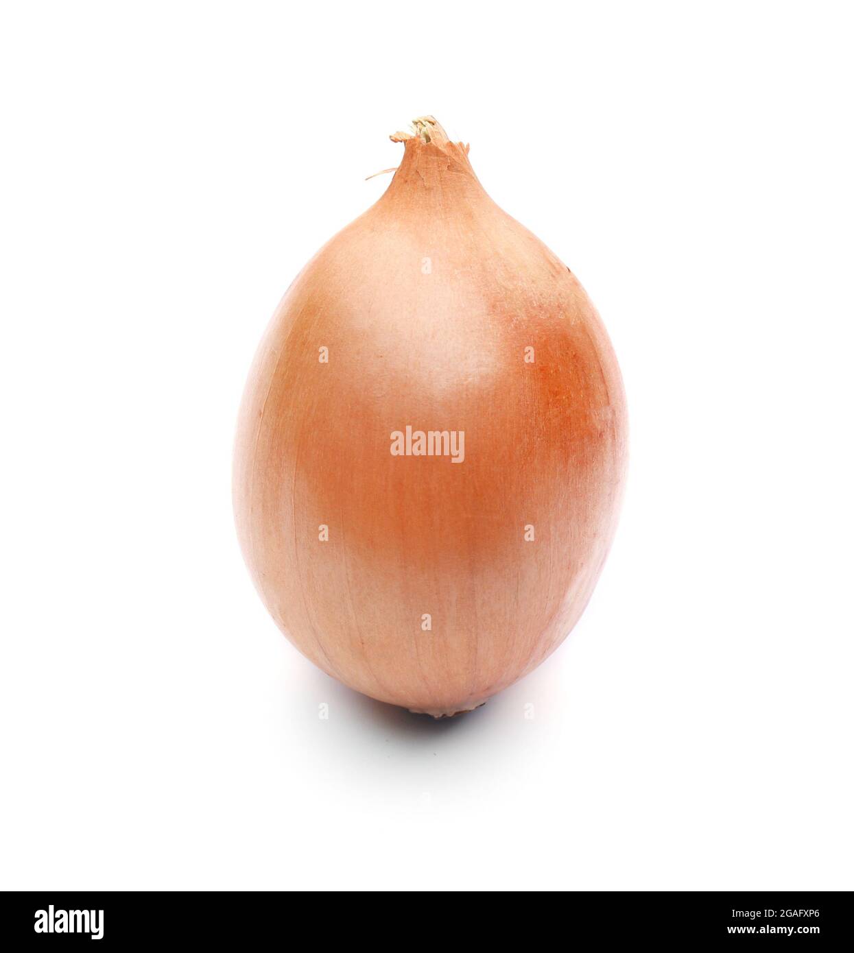 Onion isolated on white Stock Photo - Alamy