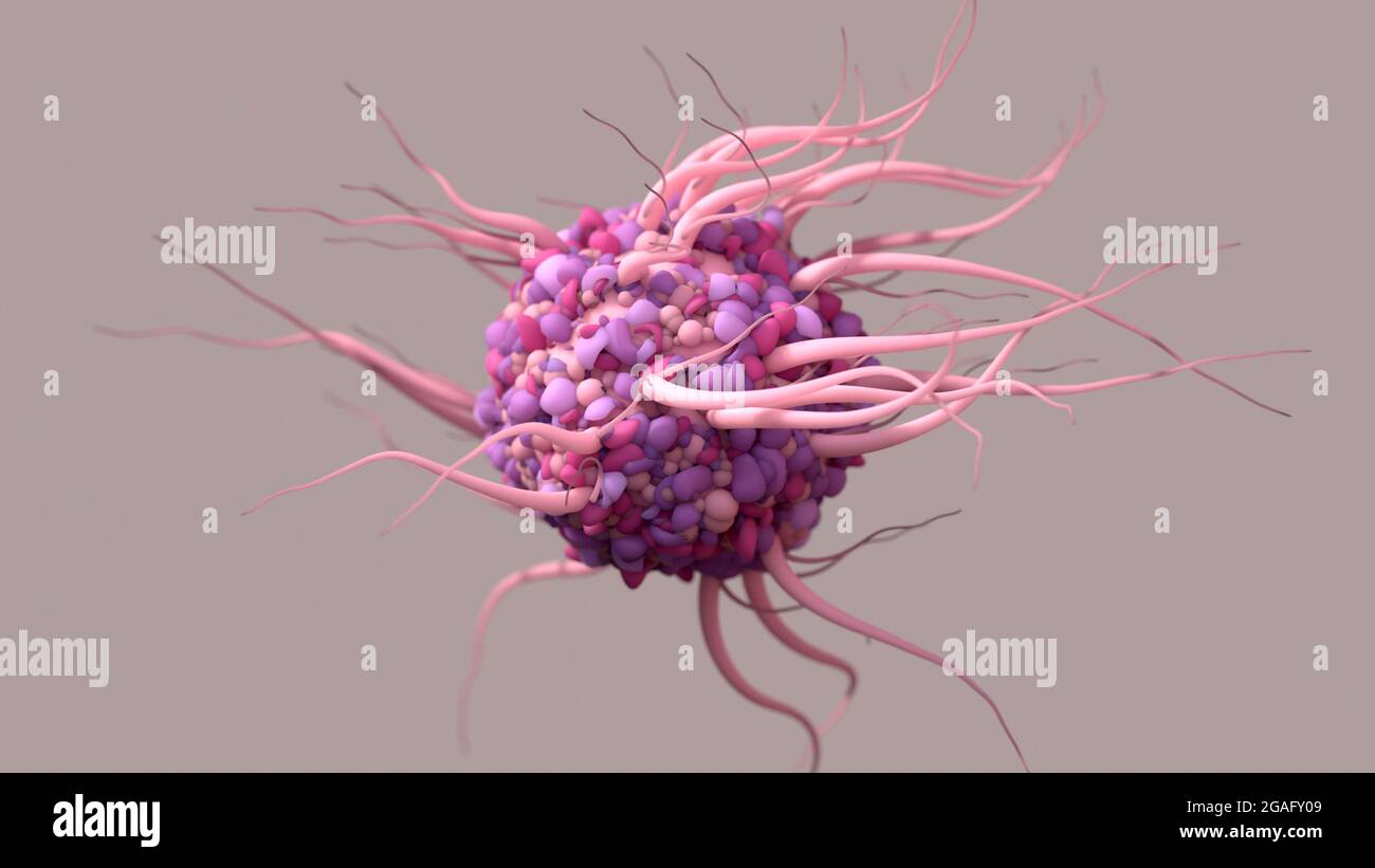 Dendritic cell, illustration Stock Photo - Alamy