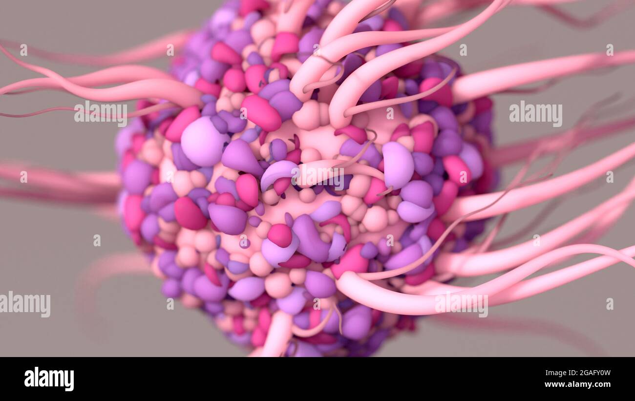 Dendritic cell, illustration Stock Photo - Alamy