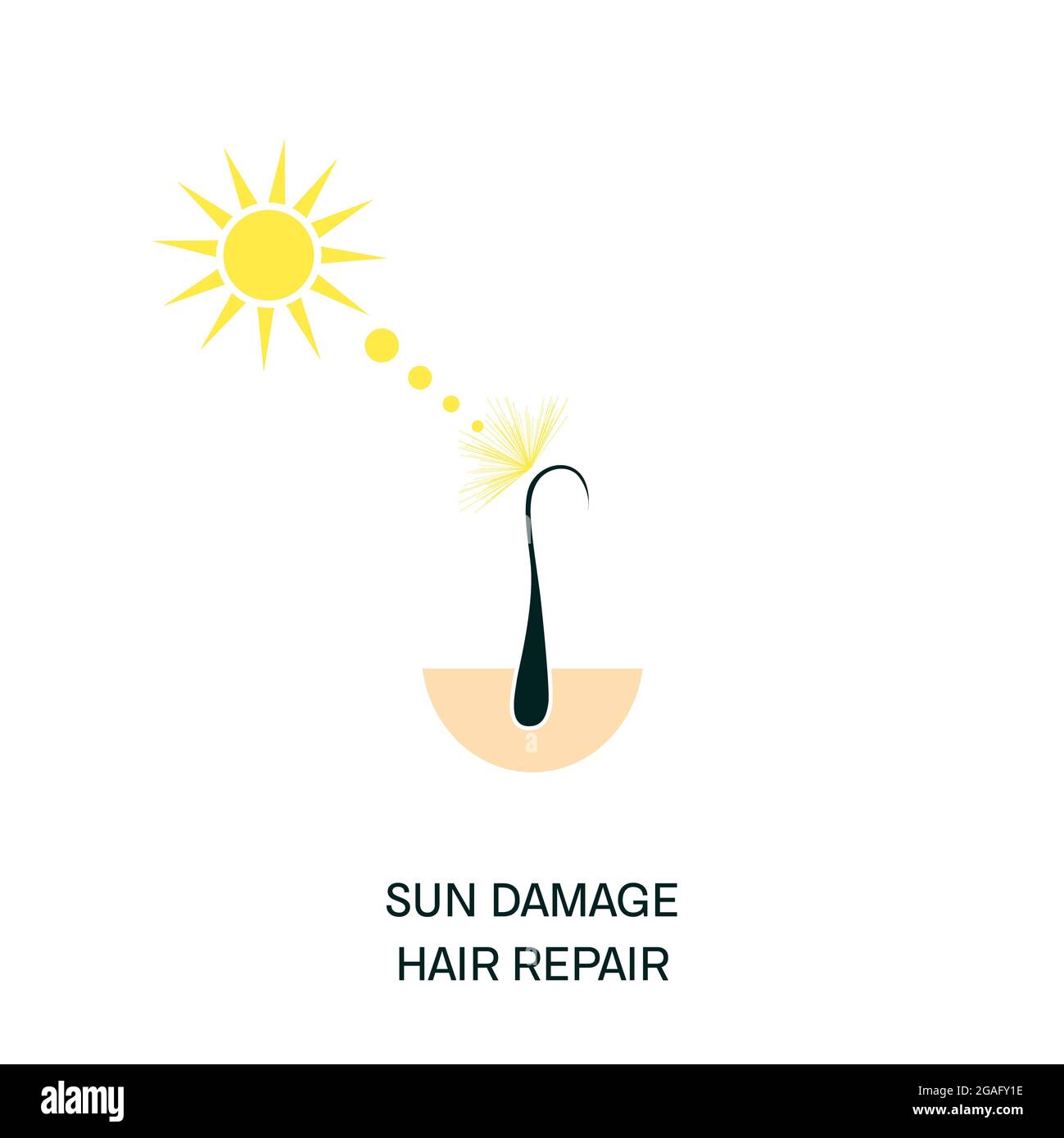Hair protection, conceptual illustration Stock Photo - Alamy Hair protection, conceptual illustration Stock Photo - Alamy