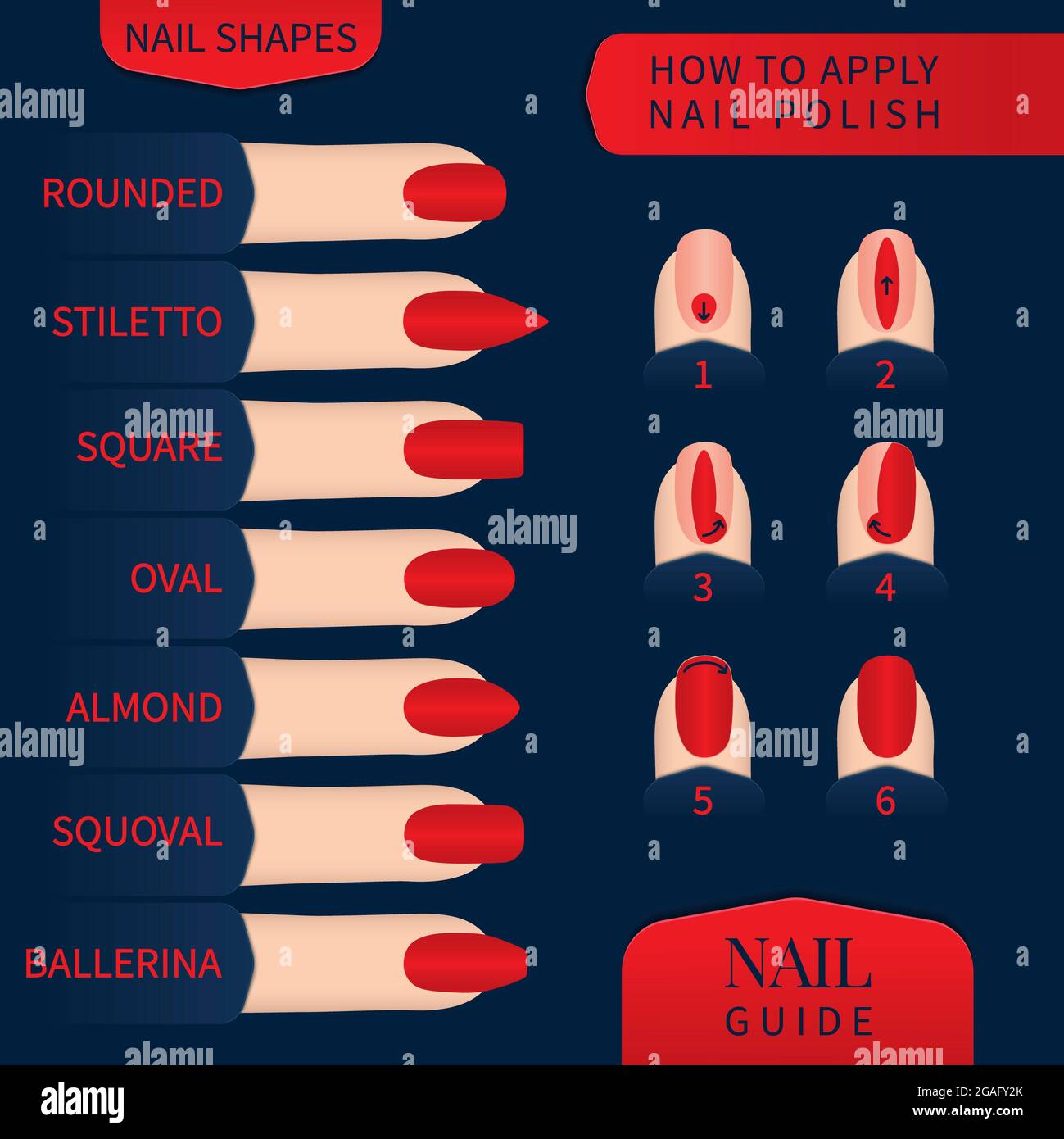 Nail shapes, illustration Stock Photo - Alamy
