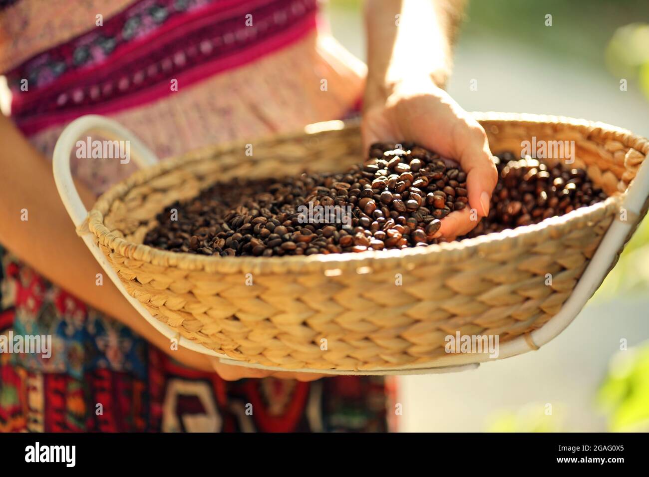 Female hand touching coffee beans in the basket Stock Photo - Alamy