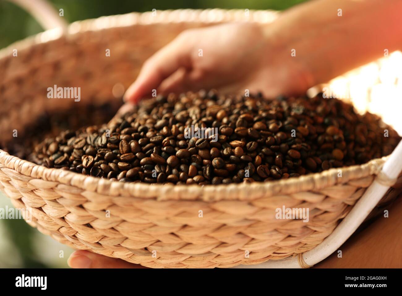 Female hand touching coffee beans in the basket Stock Photo - Alamy