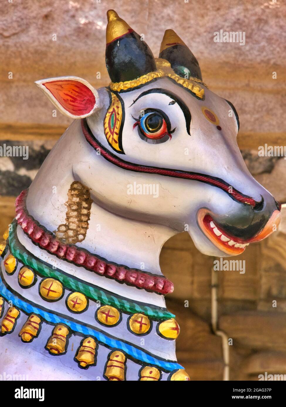 Colourful, sacred temple cow, Tamil Nadu, southern India Stock Photo ...