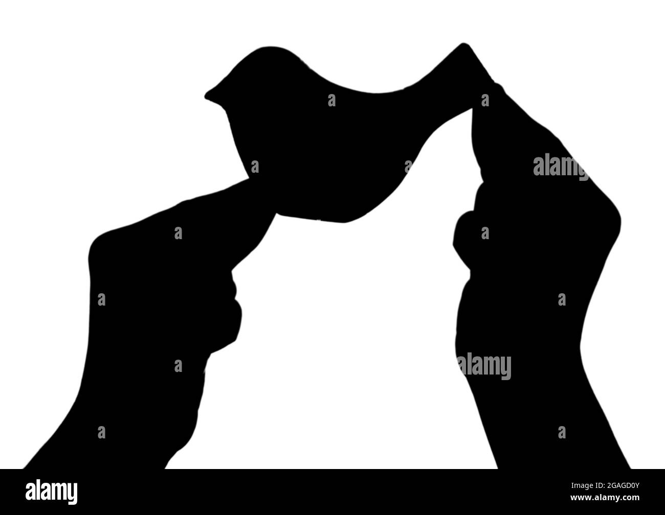 Silhouettes of hands with decorative birds, isolated on white Stock ...