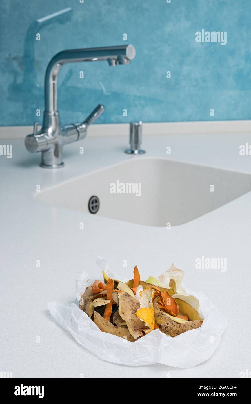 Compost From Vegetable Leftovers in Kitchen, Recycling Organic Food ...