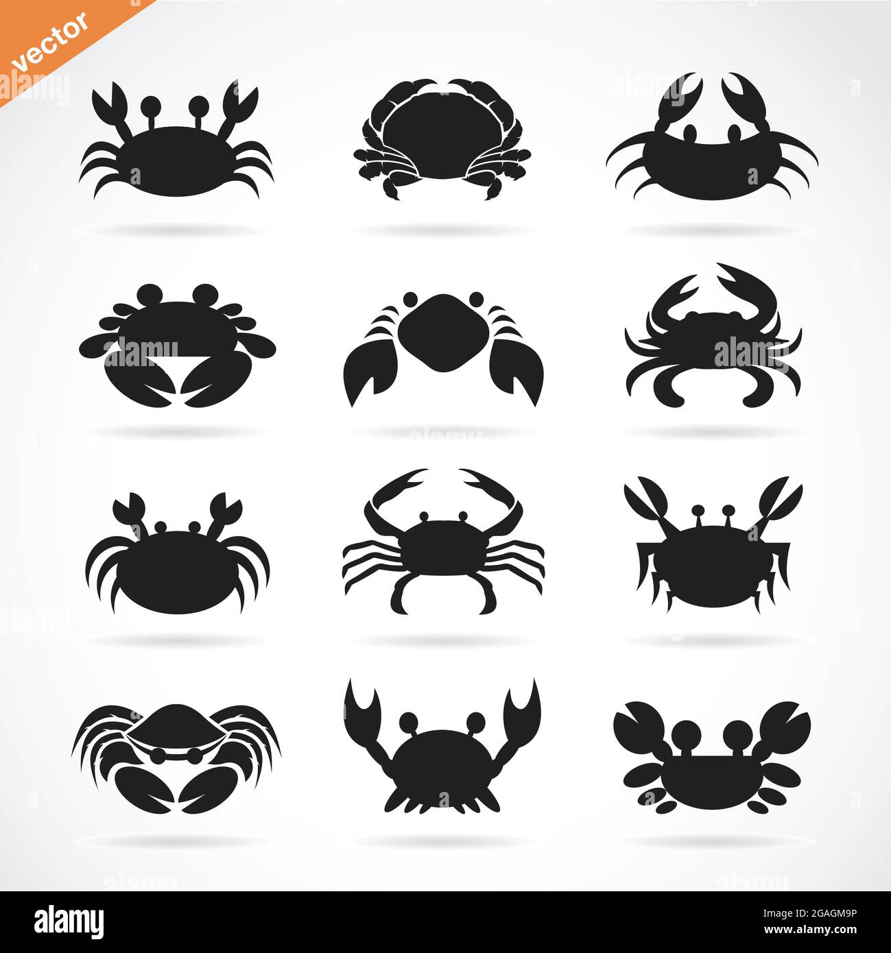 Crab vector vectors hi-res stock photography and images - Alamy