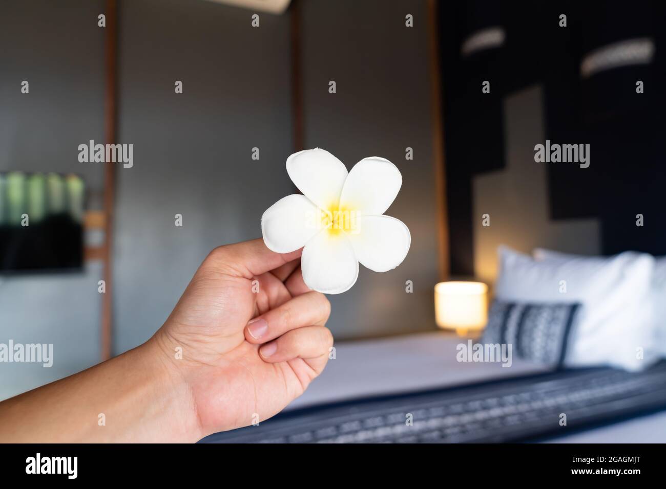 Lan thom flower hi-res stock photography and images - Alamy