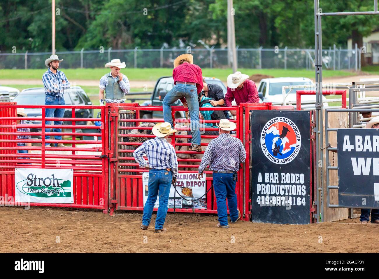 Cowboys assist a bull rider as he prepares to compete in a bull riding ...