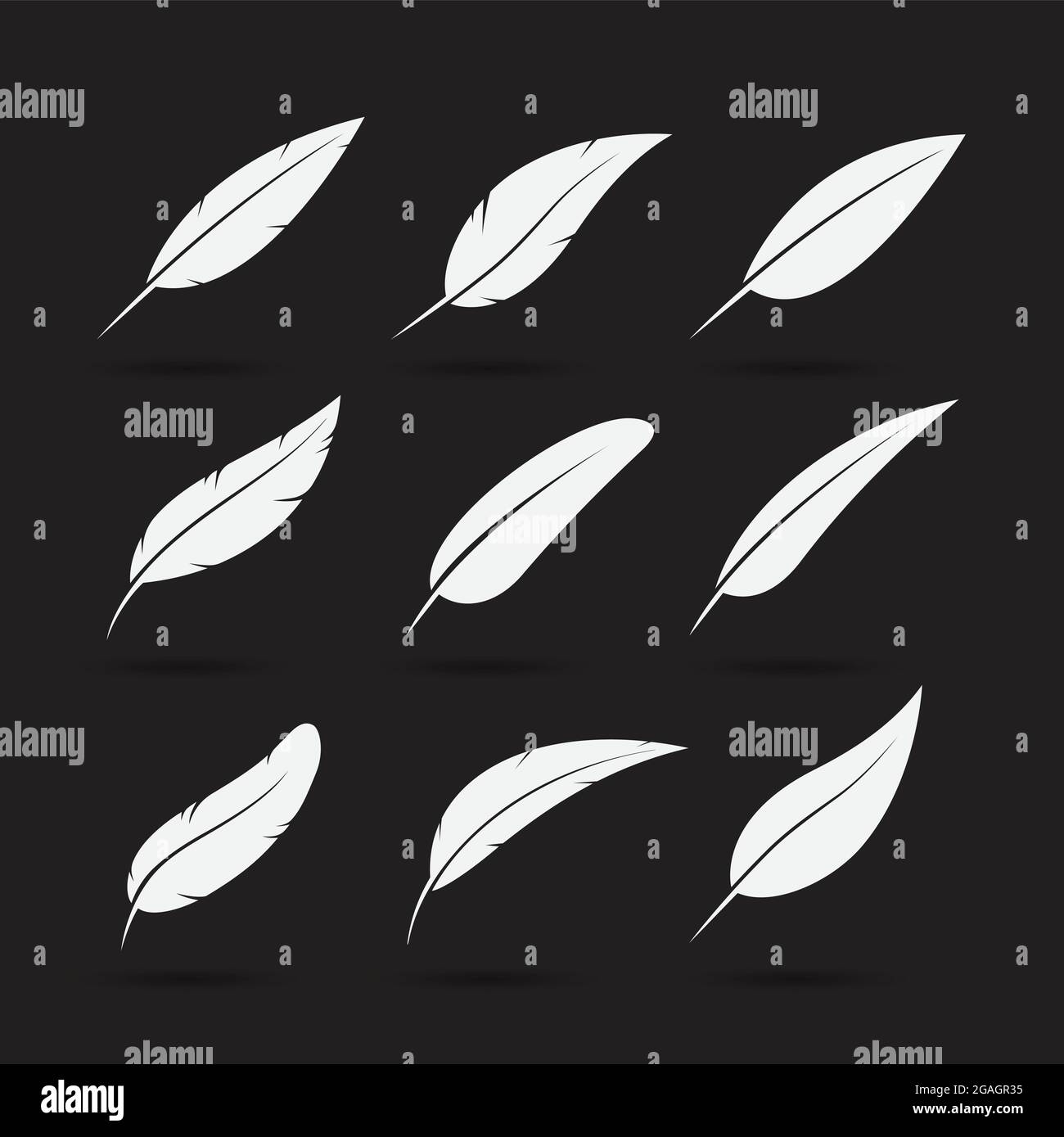 Vector group of feather on white background. Feather Icon Stock Vector ...