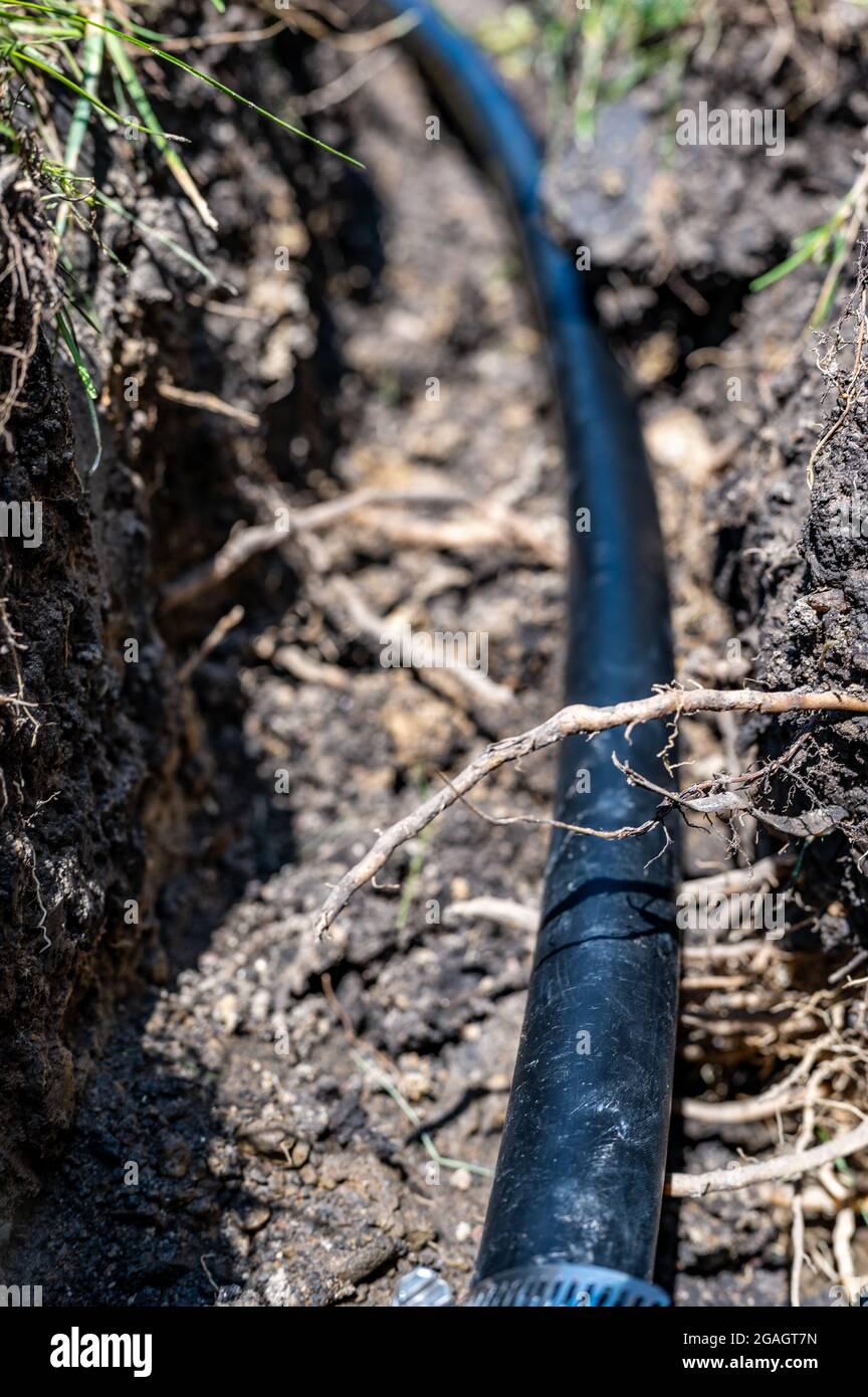 Focus on a black 1 inch sprinkler plastic water line laid in a shallow ...